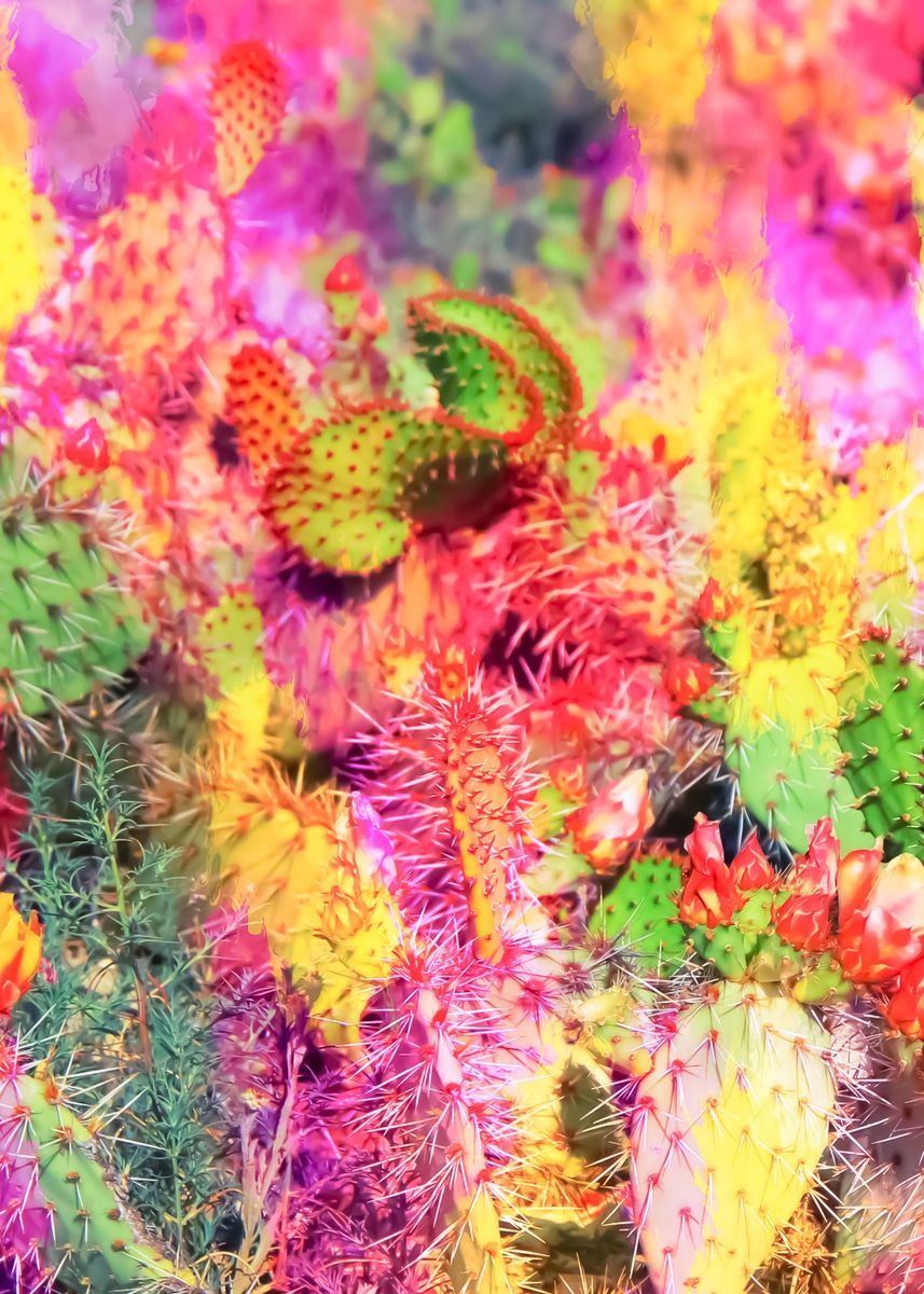 'colorful cactus background' Poster, picture, metal print, paint by ...