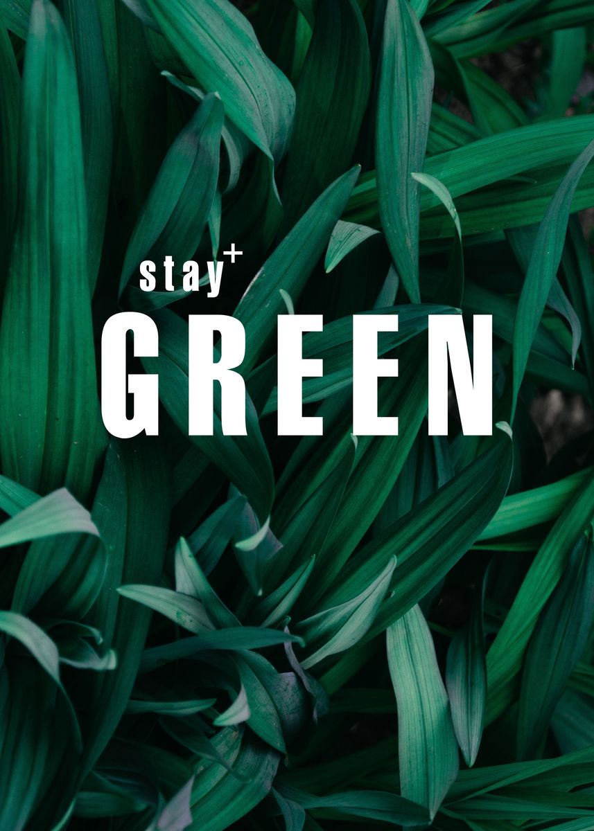 'stay GREEN' Poster, picture, metal print, paint by Nono Design | Displate