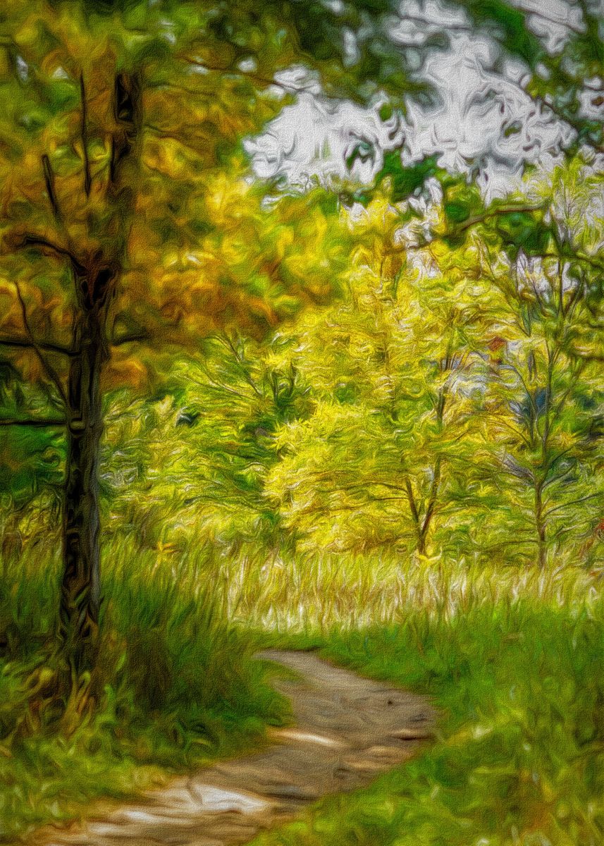 'Curved Path' Poster, picture, metal print, paint by Joyce Steele ...