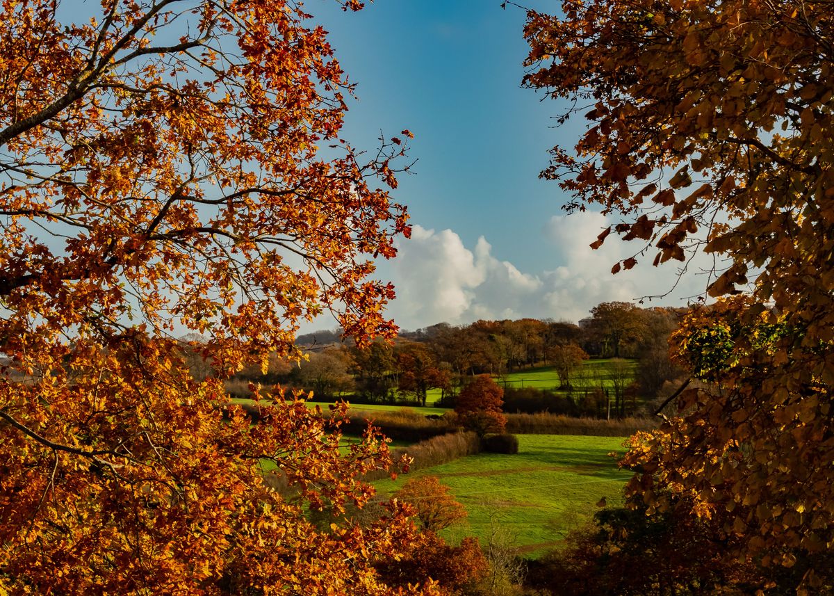 'Start Of The Fall ' Poster by Richie Evans | Displate