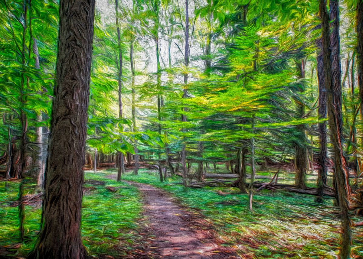 'Forest Path' Poster by Joyce Steele | Displate