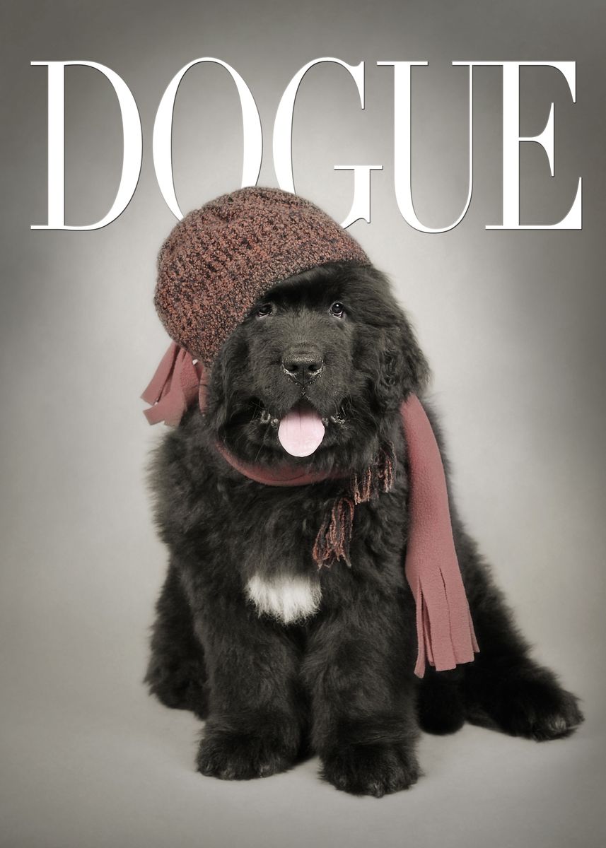 'Newfie DOGUE' Poster, picture, metal print, paint by PetsArt Design ...