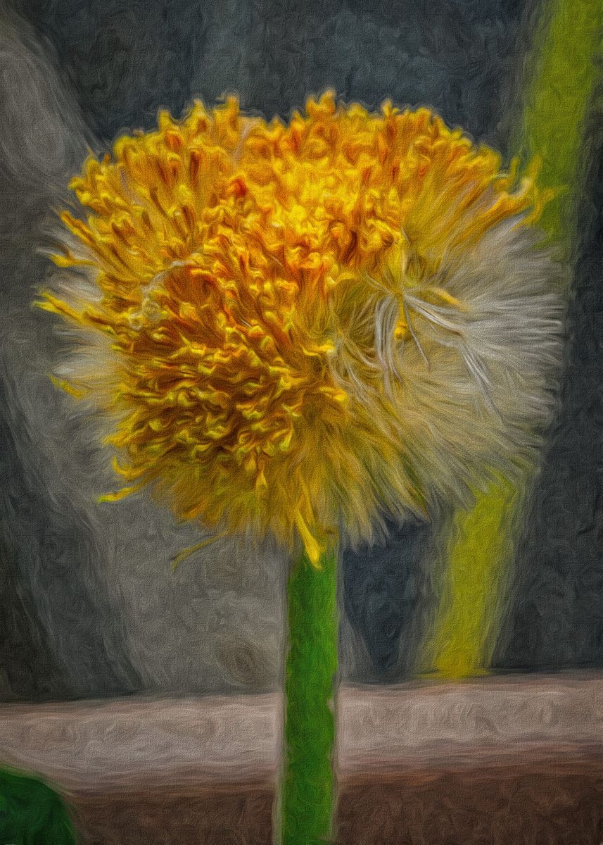 'Yellow Fluff' Poster by Joyce Steele | Displate