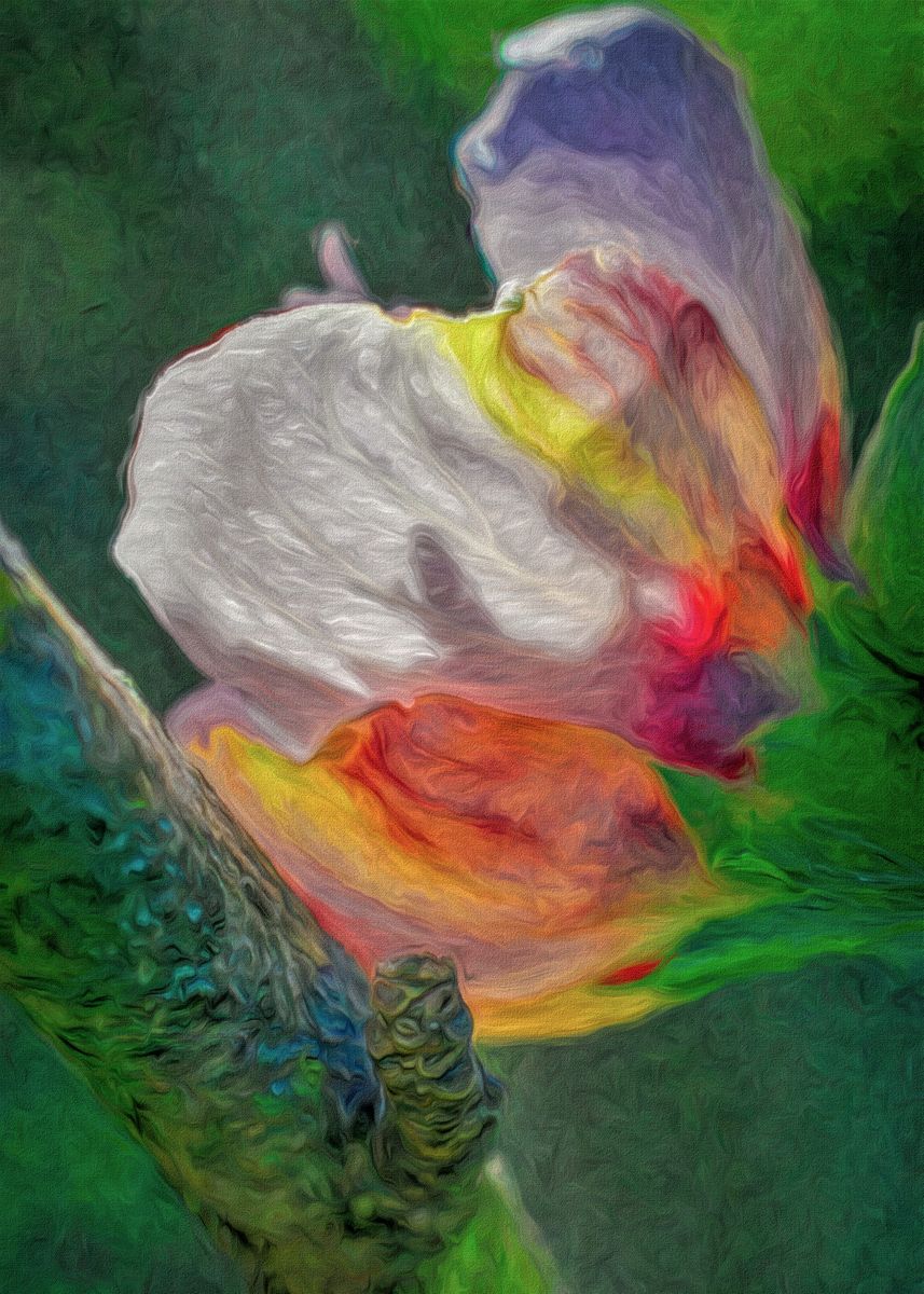 'Rose of Sharon Branch' Poster by Joyce Steele | Displate