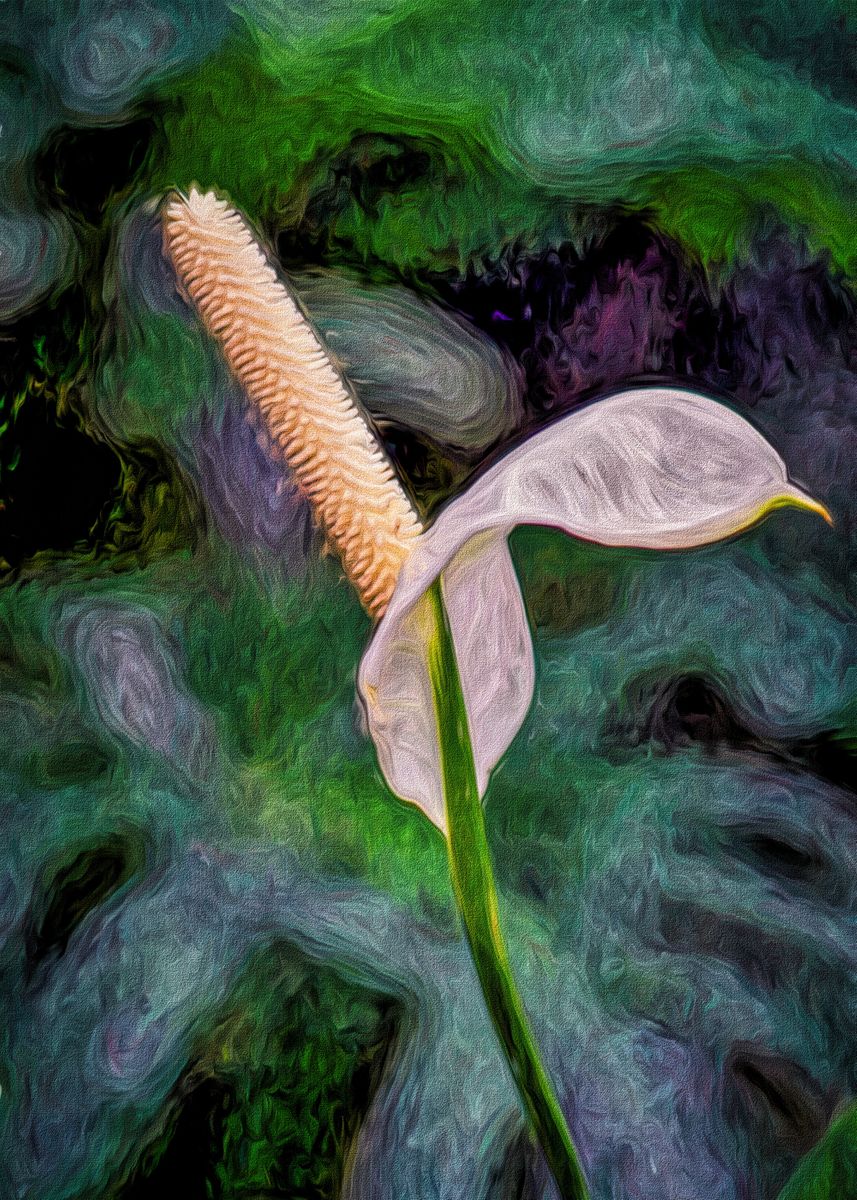 'Peace Lily' Poster, picture, metal print, paint by Joyce Steele | Displate