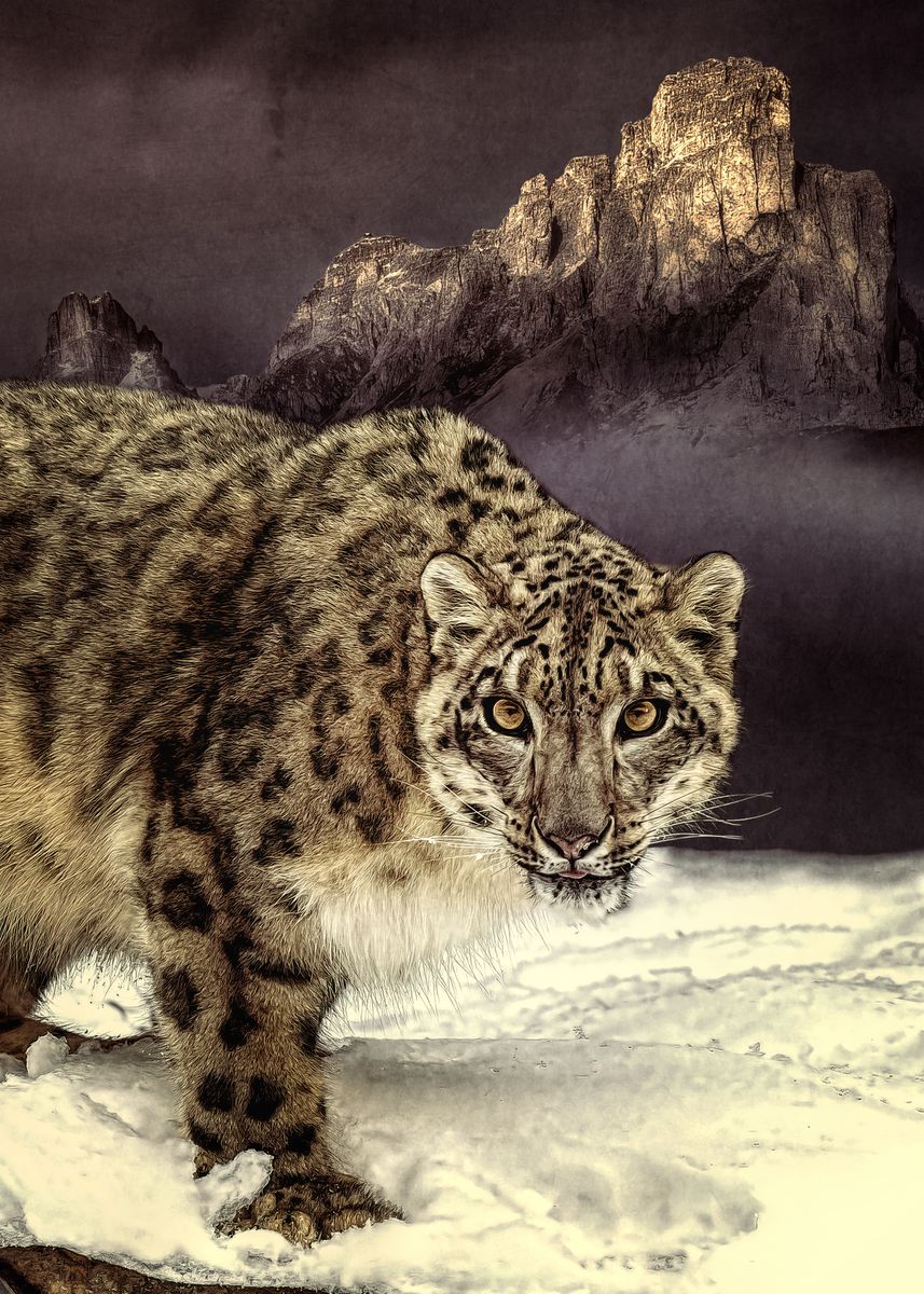 'Warrior Snow Leopard' Poster, picture, metal print, paint by Scott ...