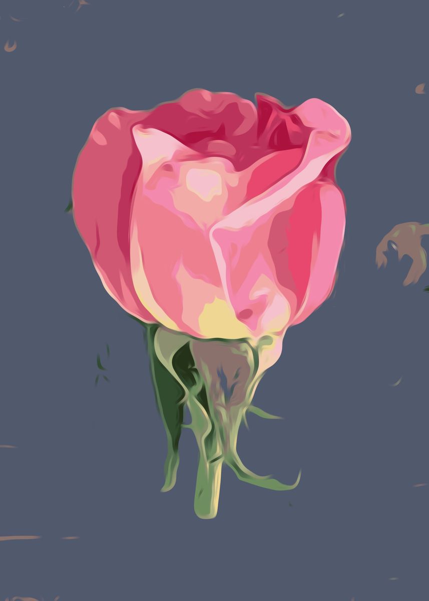 'blooming pink rose' Poster by timmy LA | Displate