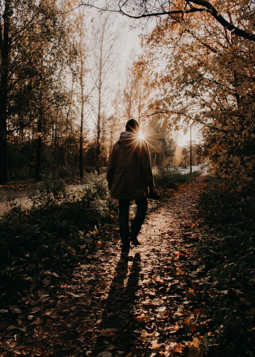 'A wild photographer' Poster, picture, metal print, paint by Artūrs ...