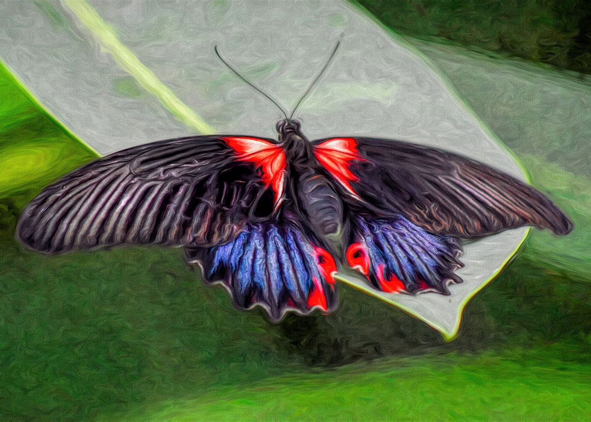 'In for the Landing' Poster by Joyce Steele | Displate