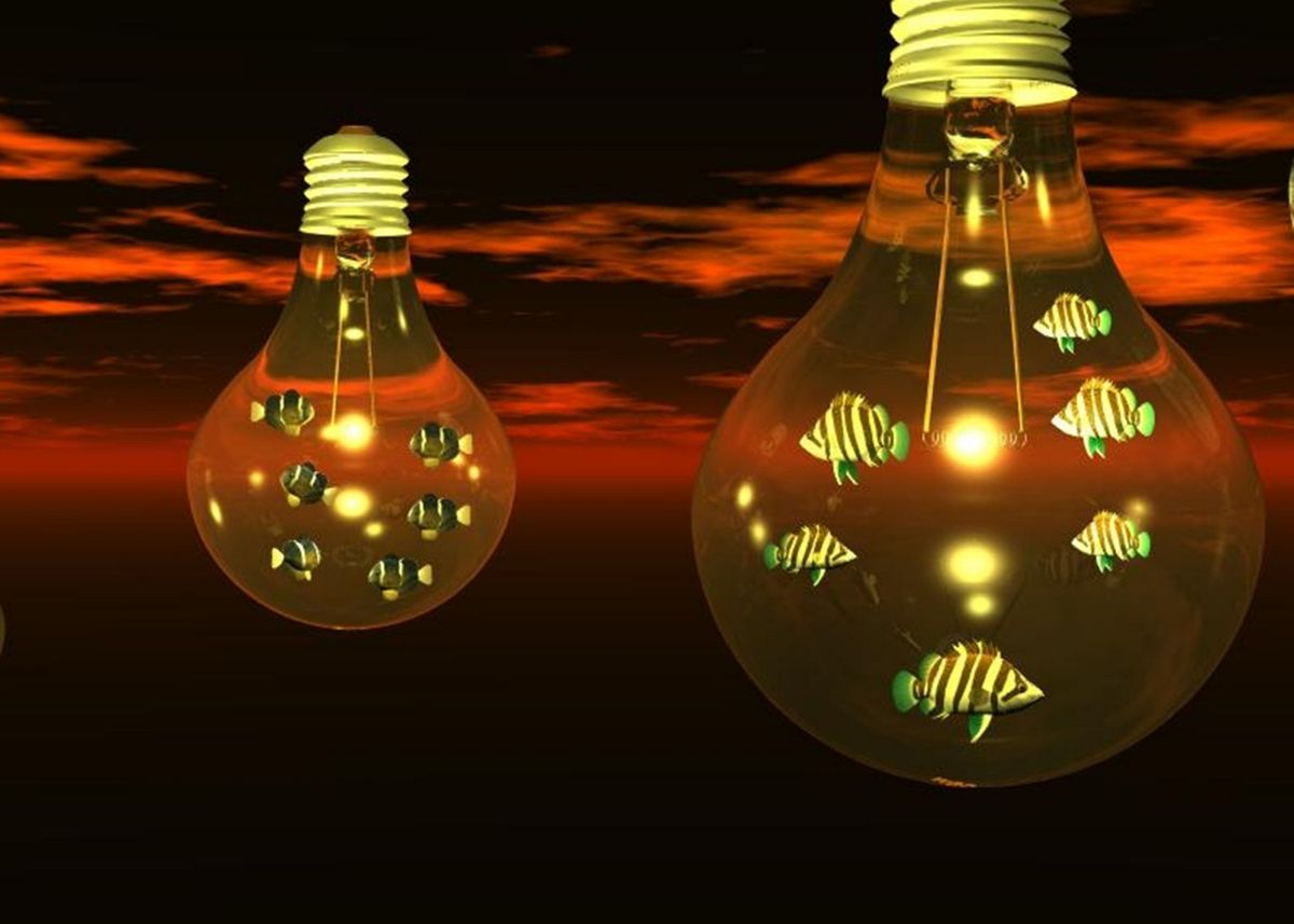 'Fish in Light bulb ' Poster by Guillermo Ballester | Displate