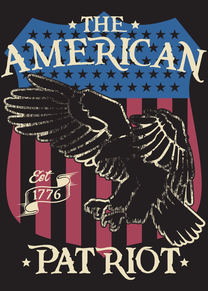 'The American Patriot' Poster, picture, metal print, paint by Chris ...