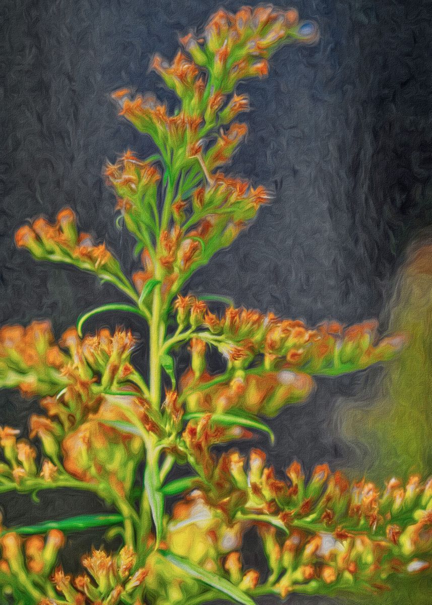 'Giant Goldenrod' Poster, picture, metal print, paint by Joyce Steele ...