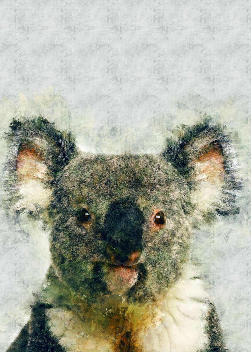 'Koala' Poster by Mateusz Ślemp | Displate
