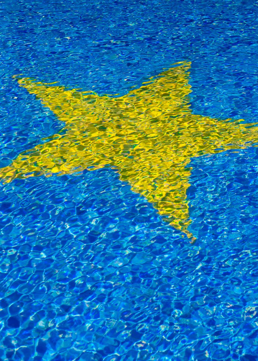 'Pool Star' Poster, picture, metal print, paint by Jonathan Wilkins ...