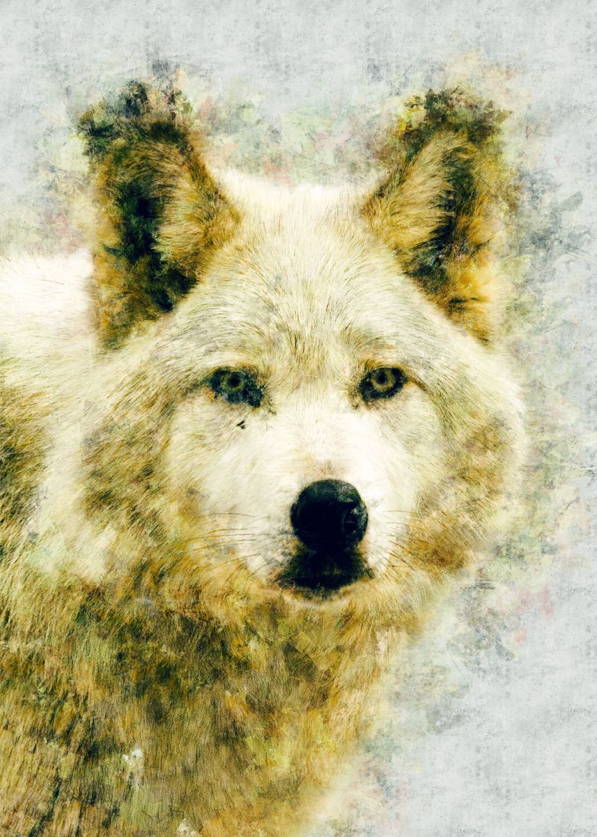 'White Wolf' Poster, picture, metal print, paint by Mateusz Ślemp ...