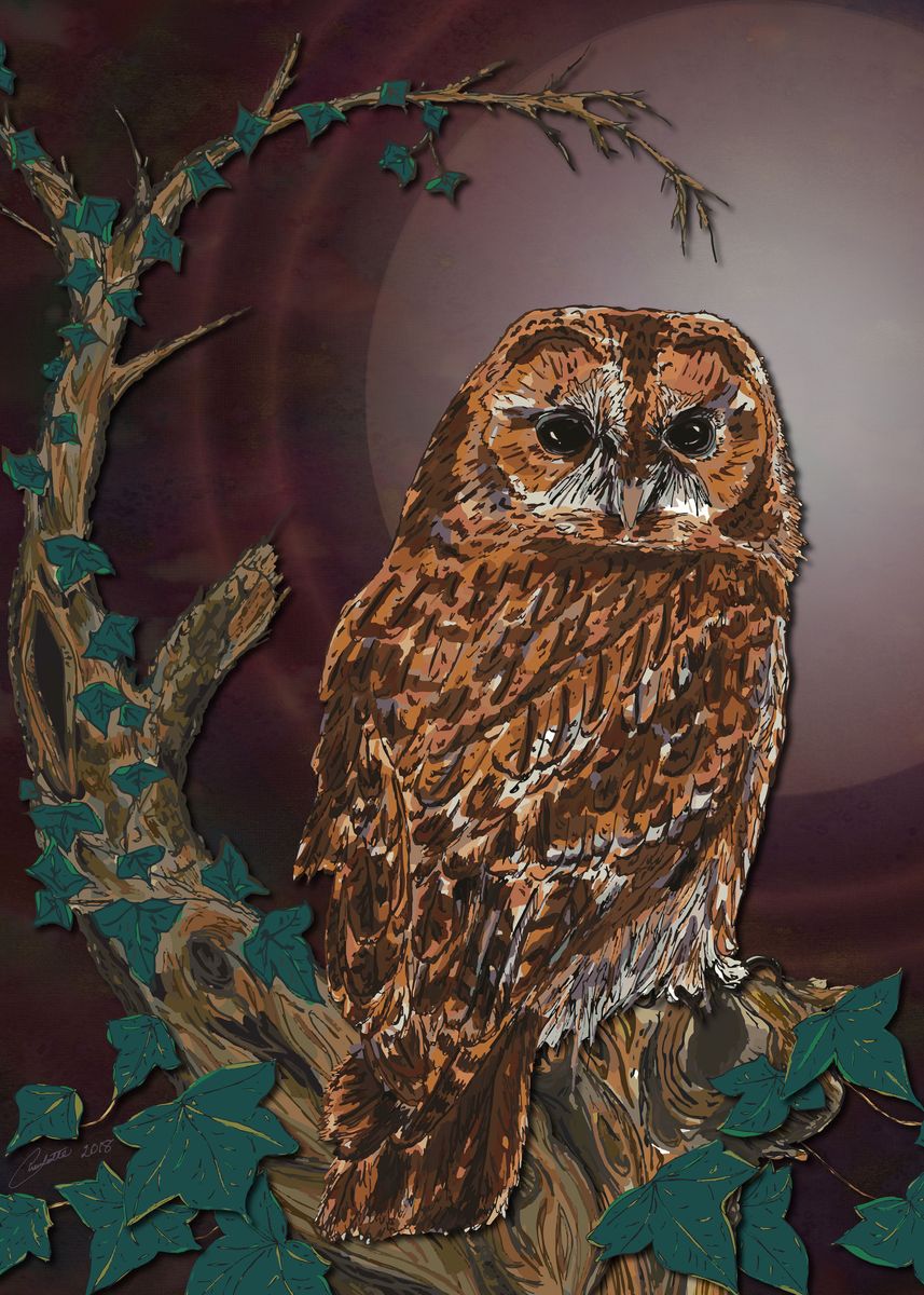 'Tawny Owl' Poster by Lotti Brown | Displate