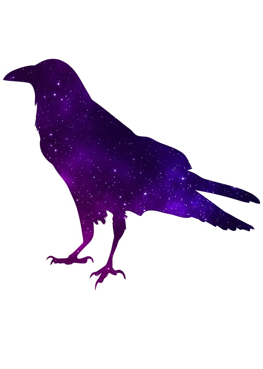 'Space Raven' Poster, picture, metal print, paint by Scar Design | Displate