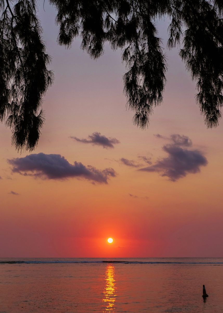 'Sunset in Mauritius' Poster by Nikol Tsenkova | Displate