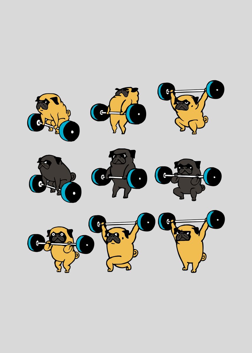 'Olympic Lifting Pug' Poster, picture, metal print, paint by ...
