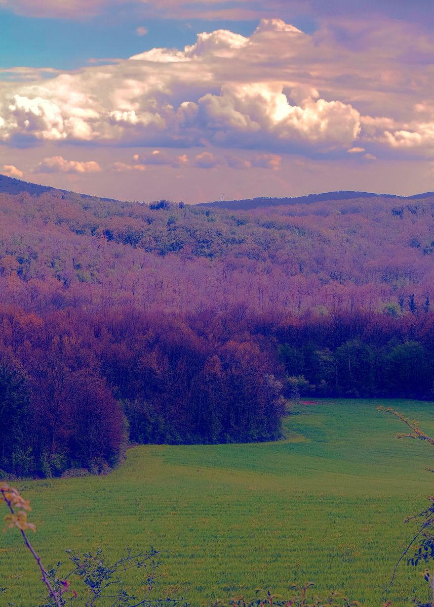 'hilly landscape' Poster by Ornella Bonomini | Displate