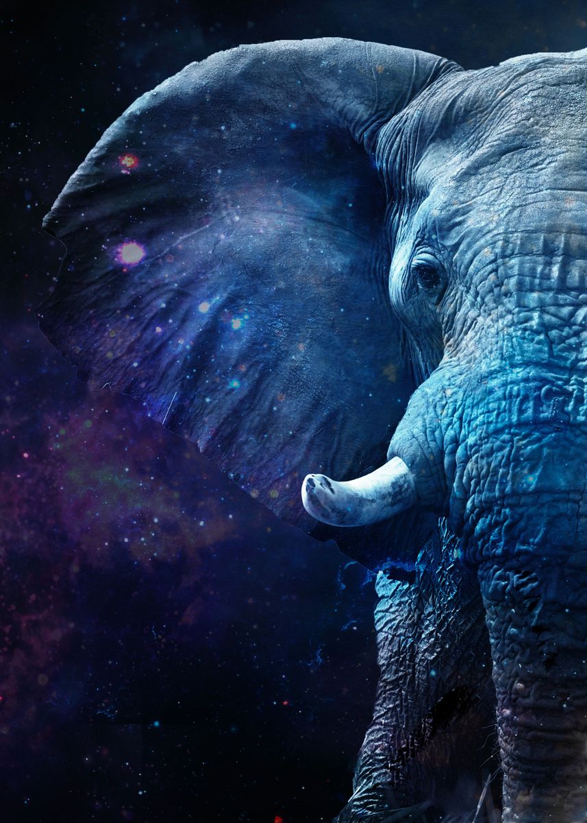 'Galaxy Elephant Blue' Poster, picture, metal print, paint by Nelva ...