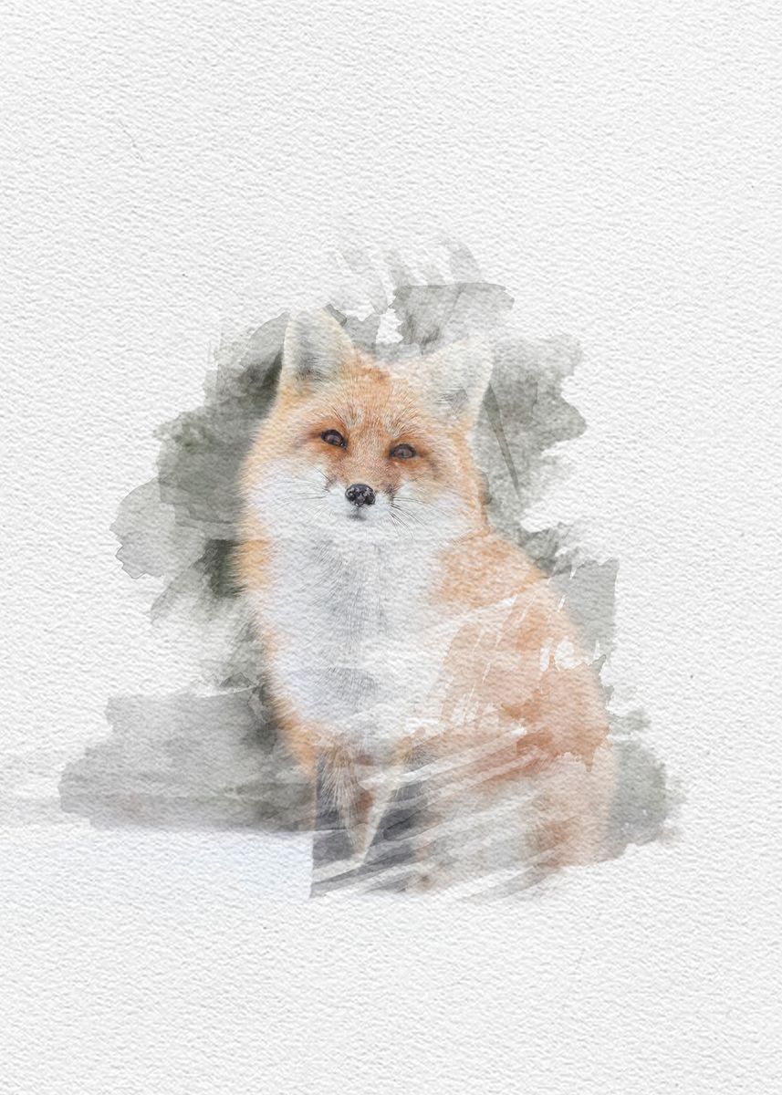 'FOX' Poster by Erik Chmelický | Displate