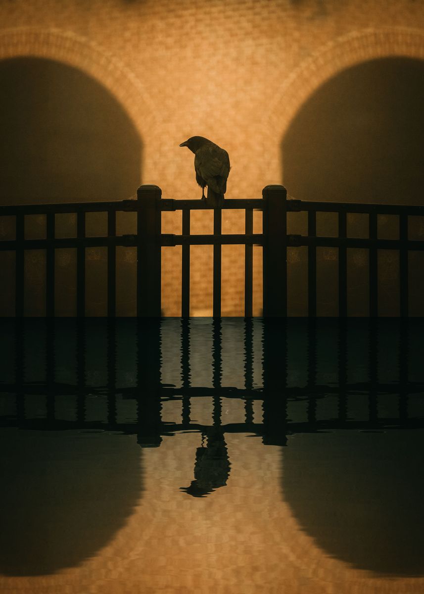 'Crow Reflections' Poster, picture, metal print, paint by Bob Orsillo ...