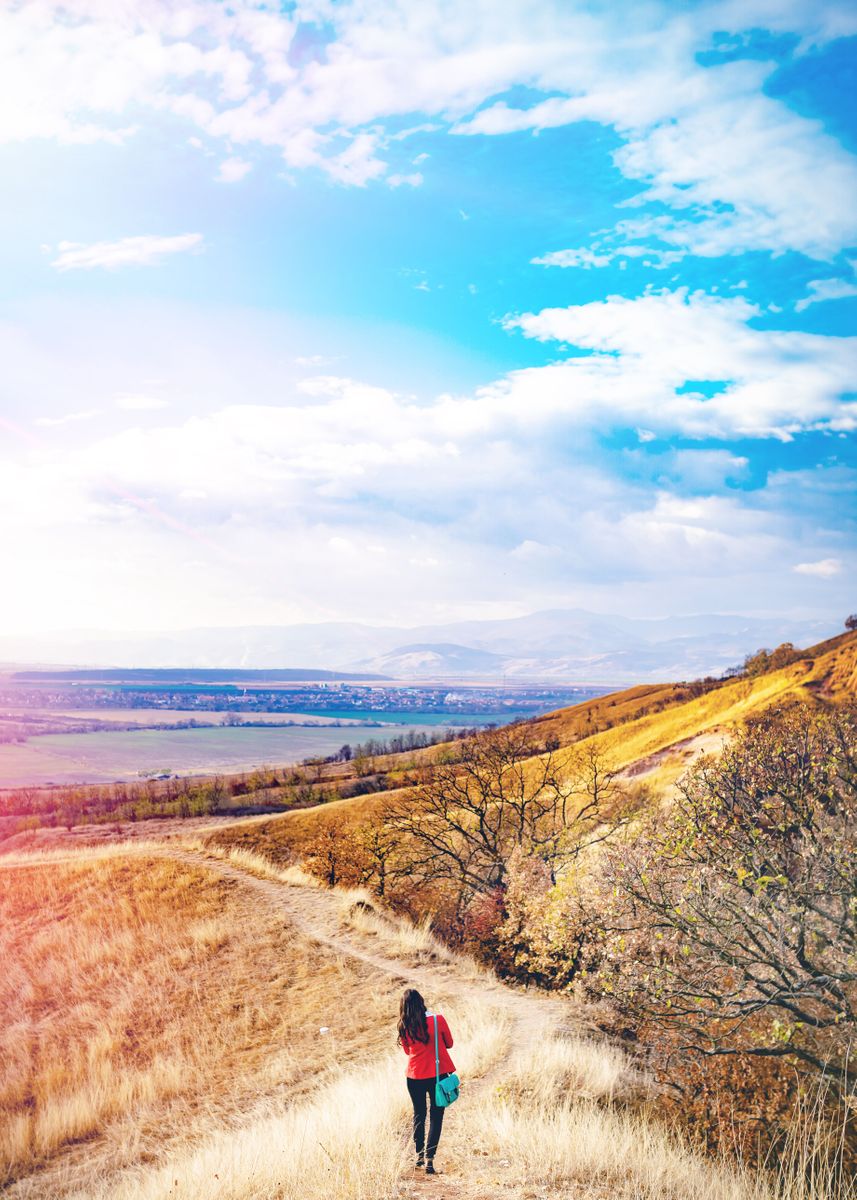 'Girl looking at sunset' Poster, picture, metal print, paint by Ionut ...