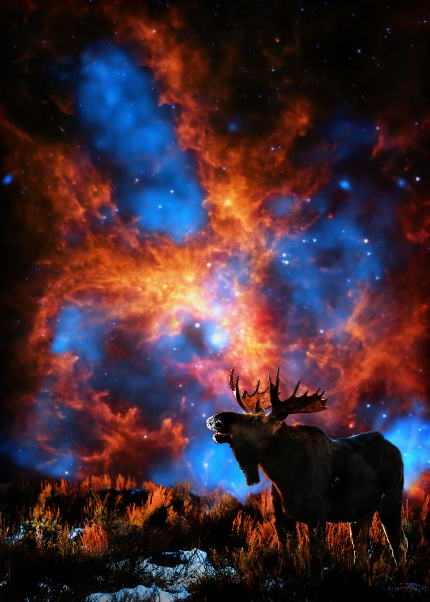 'Cosmic Moose' Poster, picture, metal print, paint by Scott Ward | Displate