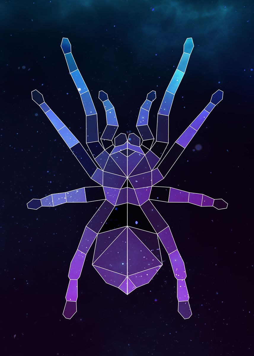 'Galaxy Spider' Poster, picture, metal print, paint by Jay Diloy | Displate