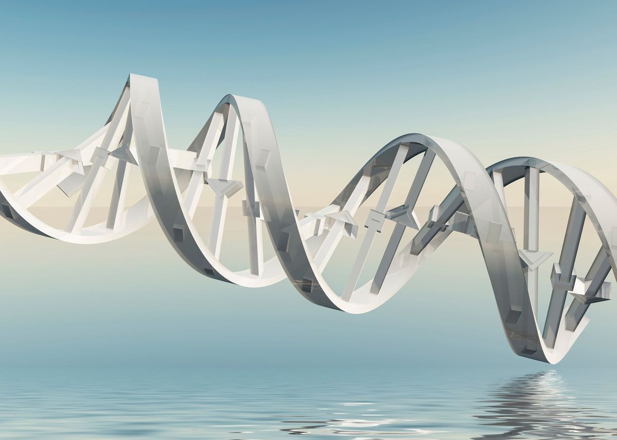 'DNA Strand Reflections' Poster by Bruce Rolff | Displate