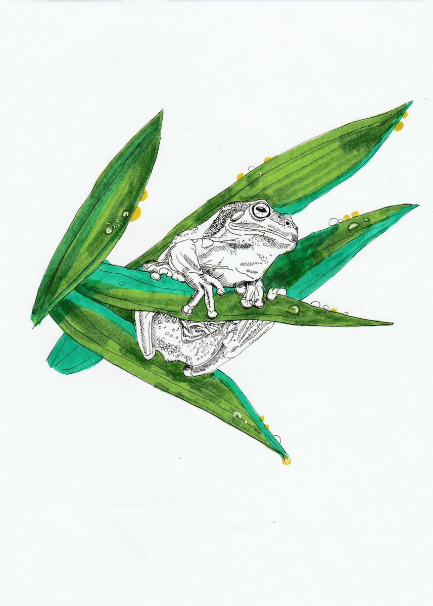 'Australian Green Tree Frog' Poster, picture, metal print, paint by ...