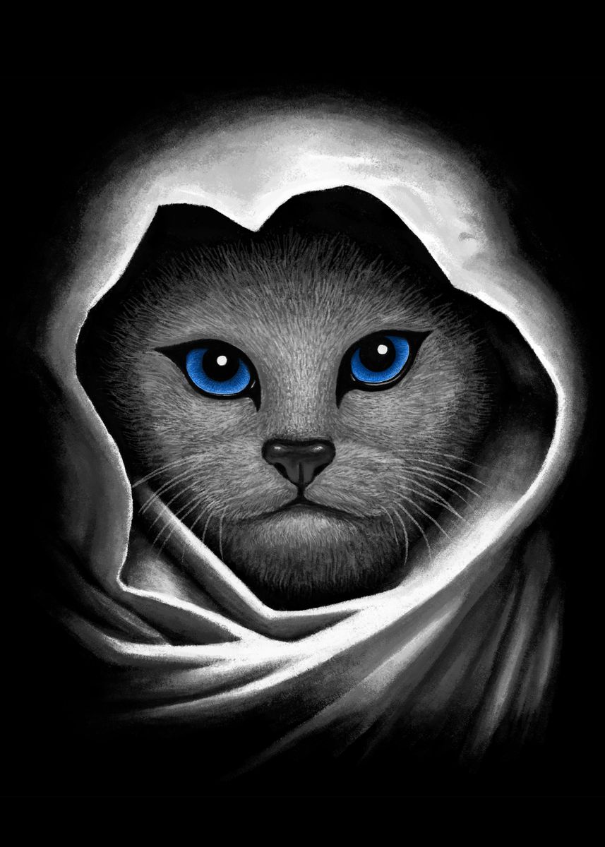 'Blue eyes cat' Poster, picture, metal print, paint by Tum meow | Displate
