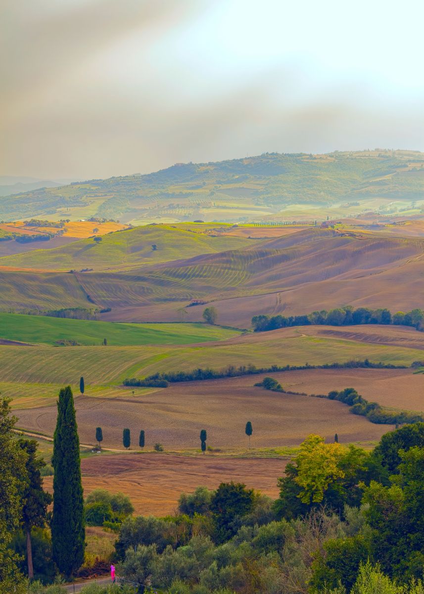 'hilly landscape' Poster, picture, metal print, paint by Ornella ...