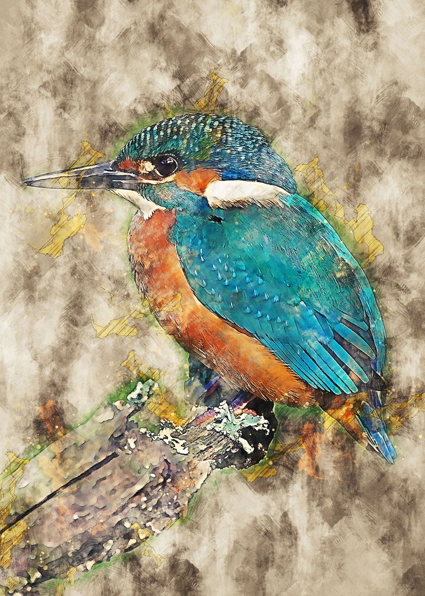 'Bird kingfisher' Poster by VM Designs | Displate