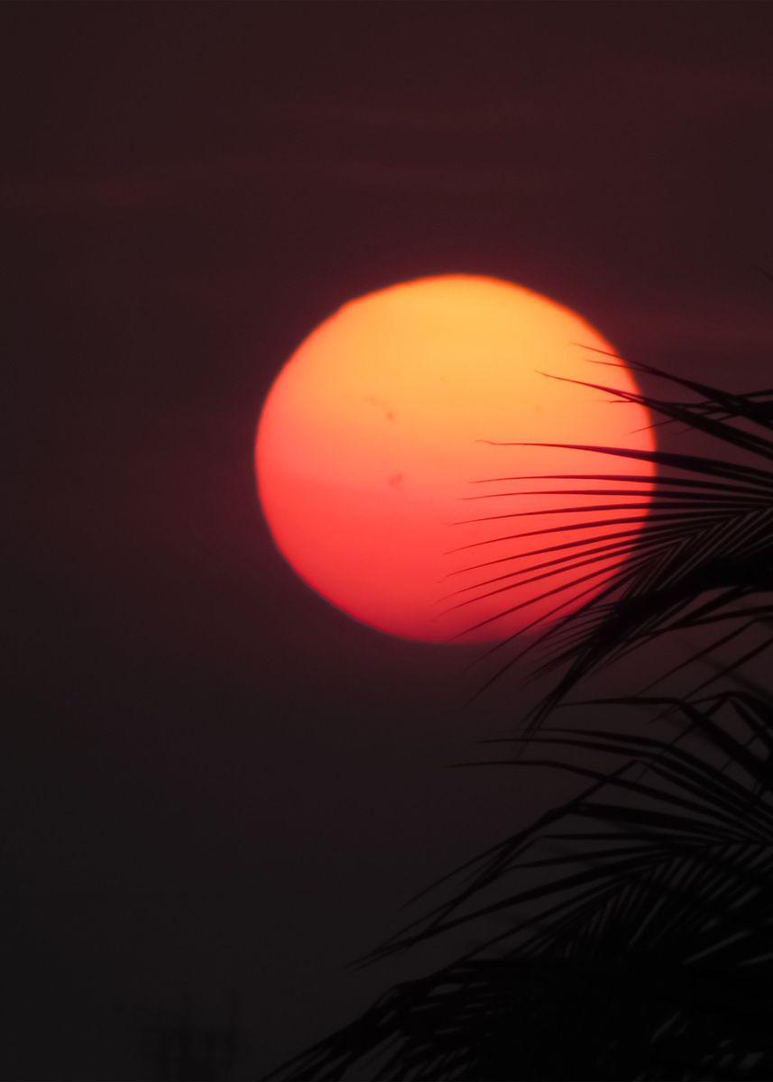 'Sun 16' Poster by Jenny B | Displate