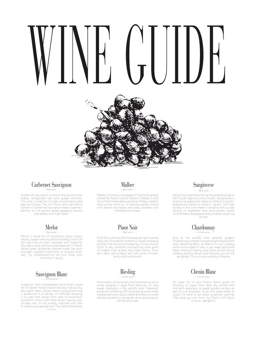 'Wine guide' Poster, picture, metal print, paint by Don Mario | Displate