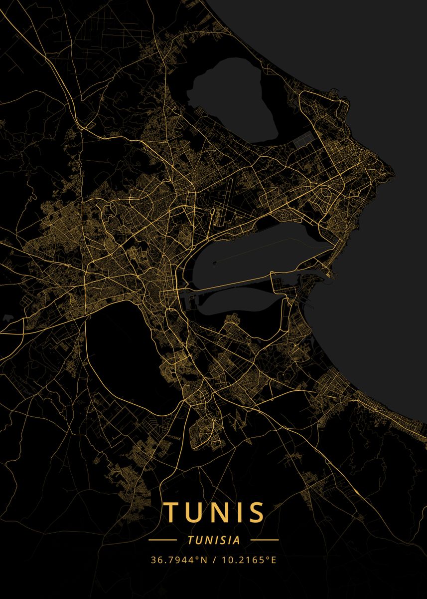 'Tunis Tunisia' Poster, picture, metal print, paint by Designer Map Art ...