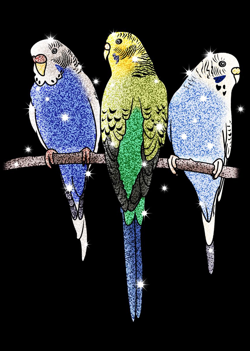 'Budgie Budgerigar Parrot' Poster, picture, metal print, paint by ...