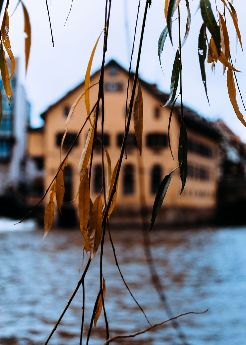 'Glimpse' Poster, picture, metal print, paint by Jacopo Vassallo | Displate