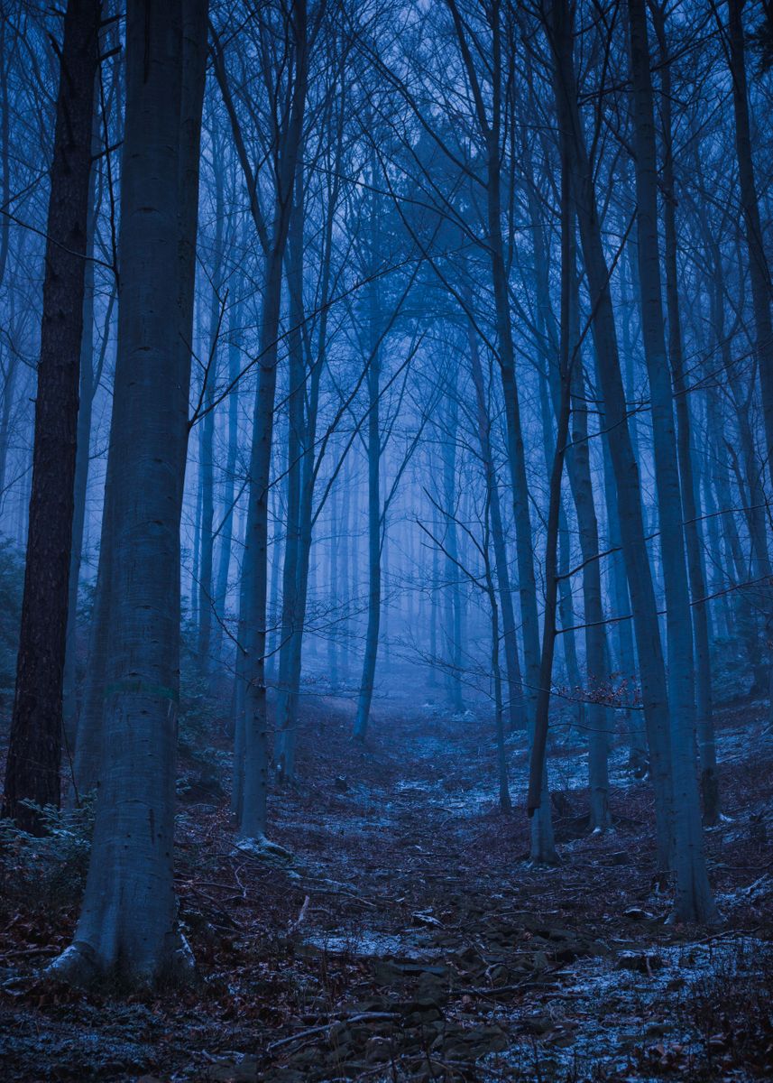 'Spooky Forest' Poster by Lukasz Rados | Displate