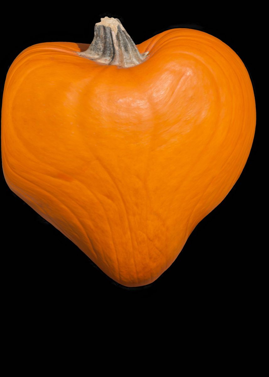 'pumpkin heart and love' Poster, picture, metal print, paint by Ornella ...