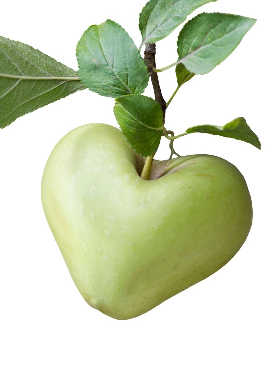 'apple heart for love' Poster, picture, metal print, paint by Ornella ...
