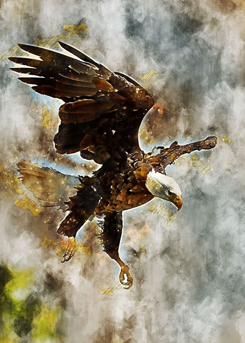 'Eagle' Poster, picture, metal print, paint by VM Designs | Displate