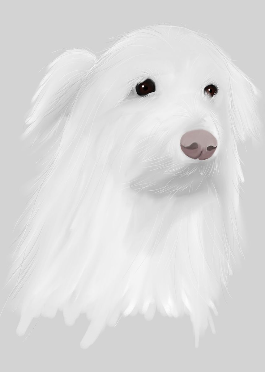 'Kimi' Poster by Jude Olympia | Displate