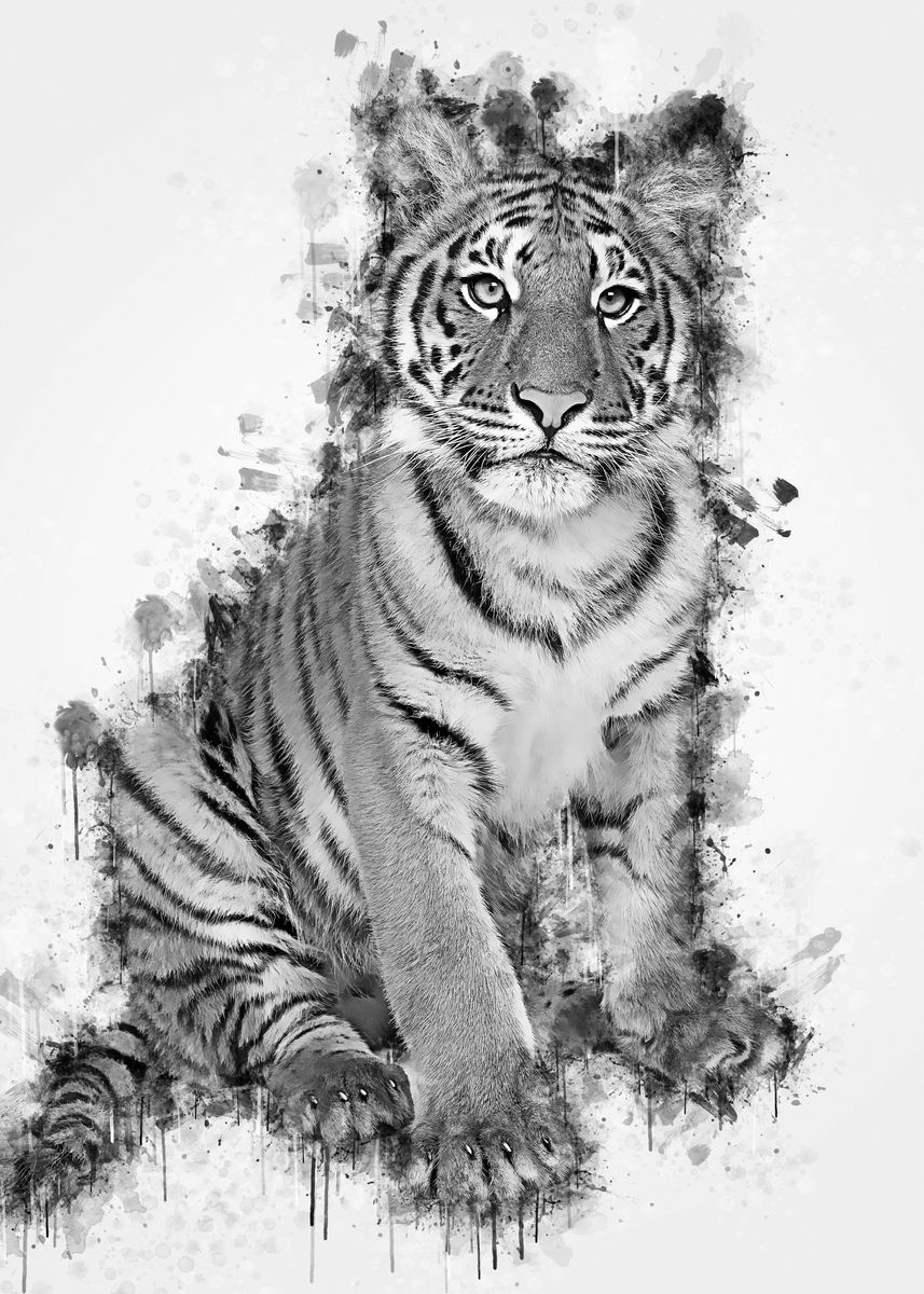'Tiger Ink' Poster, picture, metal print, paint by Mateusz Ślemp | Displate