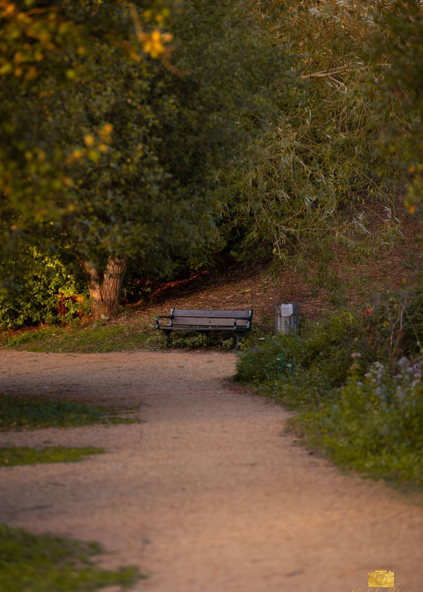 'Alley ' Poster by Rahela Marin | Displate