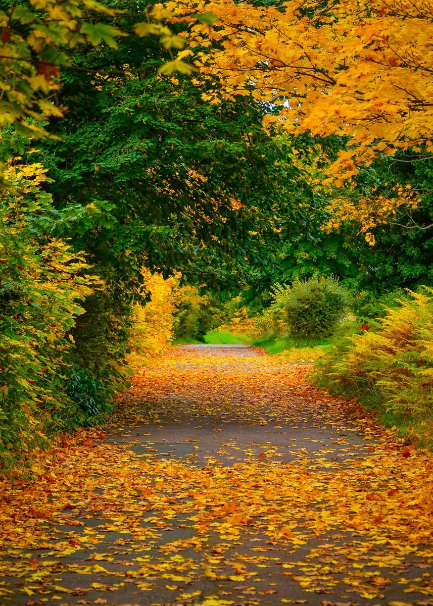 'Autumn Path' Poster, picture, metal print, paint by Svetlana Sewell ...