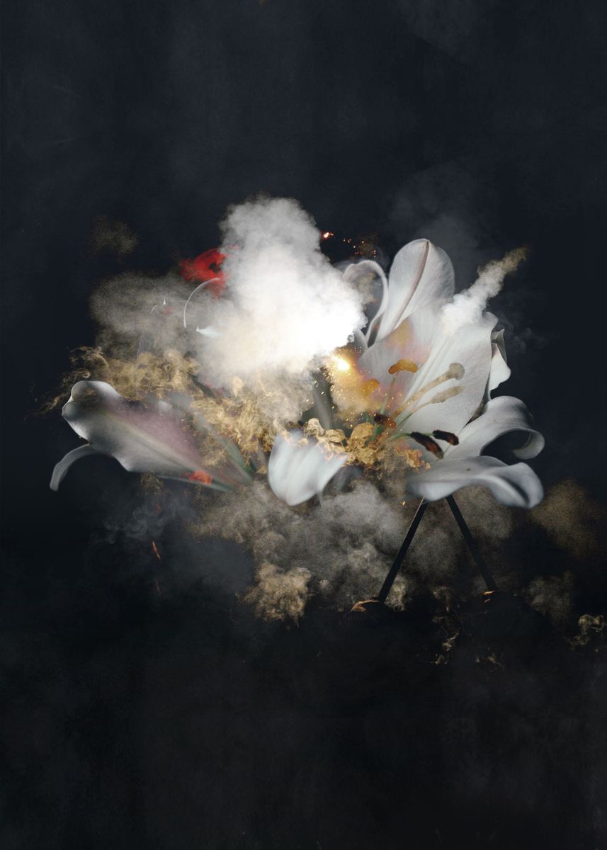 'Beautiful Lie' Poster, picture, metal print, paint by Christopher ...