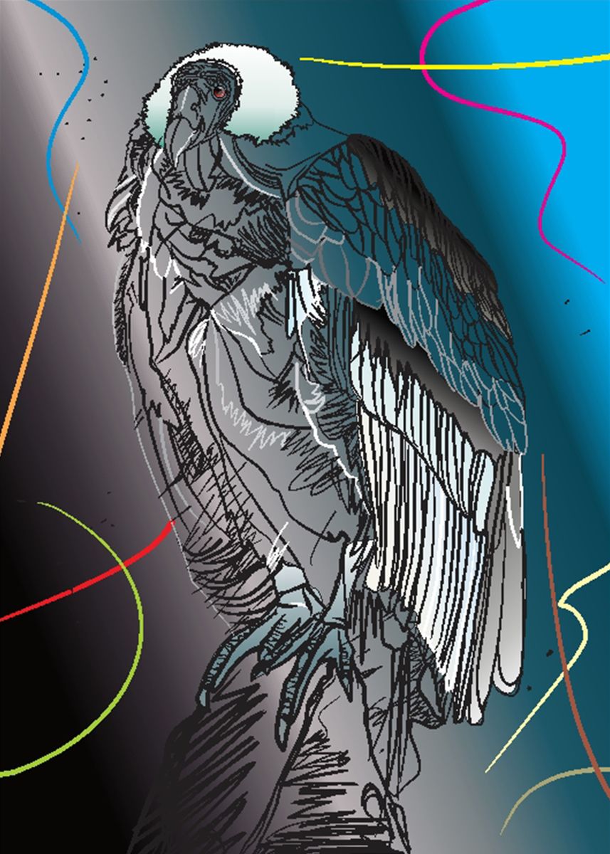 'Condor' Poster by Marcos Borges | Displate